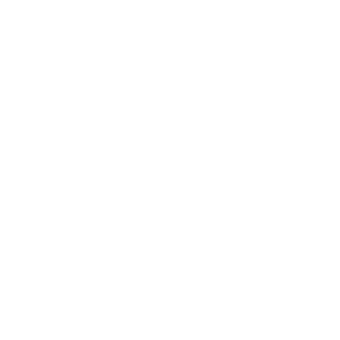 Sensical - Solution Driven Custom Automotive Manufacturing